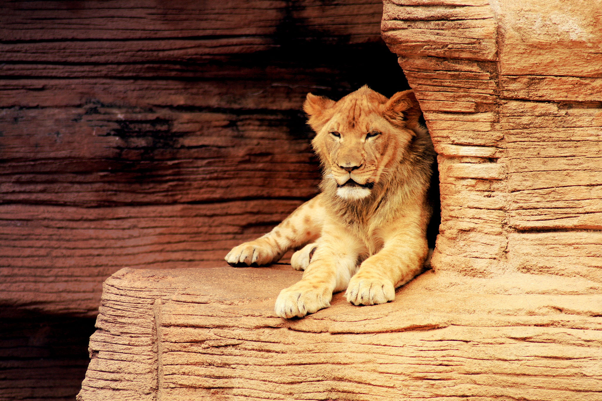 Riverbanks Zoo – @studiochris